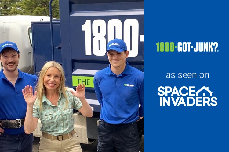 Space Invaders 2023 | 1800-GOT-JUNK?